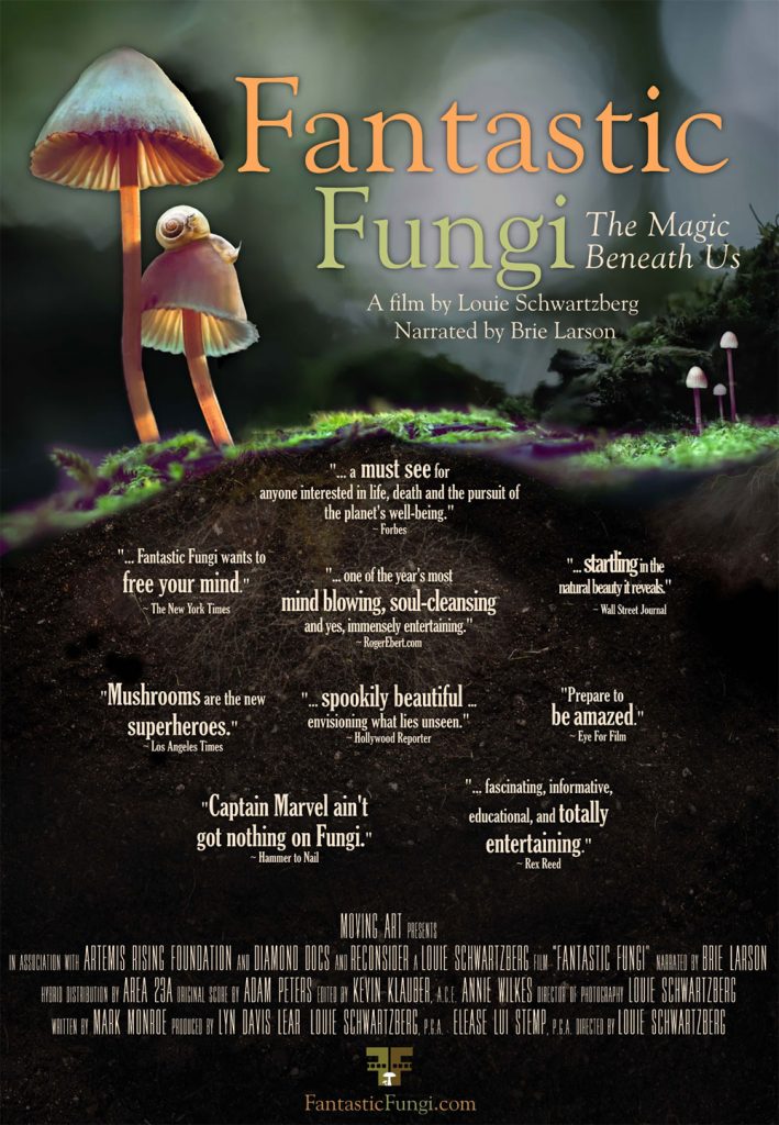 Fantastic Fungi: How Mushrooms Can Heal, Shift Consciousness, And Save ...