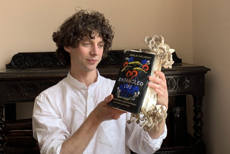 Entangled Life: How Fungi Make Our Worlds, Change Our Minds and Shape ...