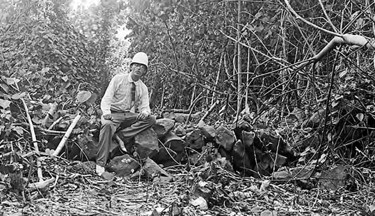 The Petroglyphs of Mu: Pohnpei, Nan Madol and the Legacy of Mu - Graham ...