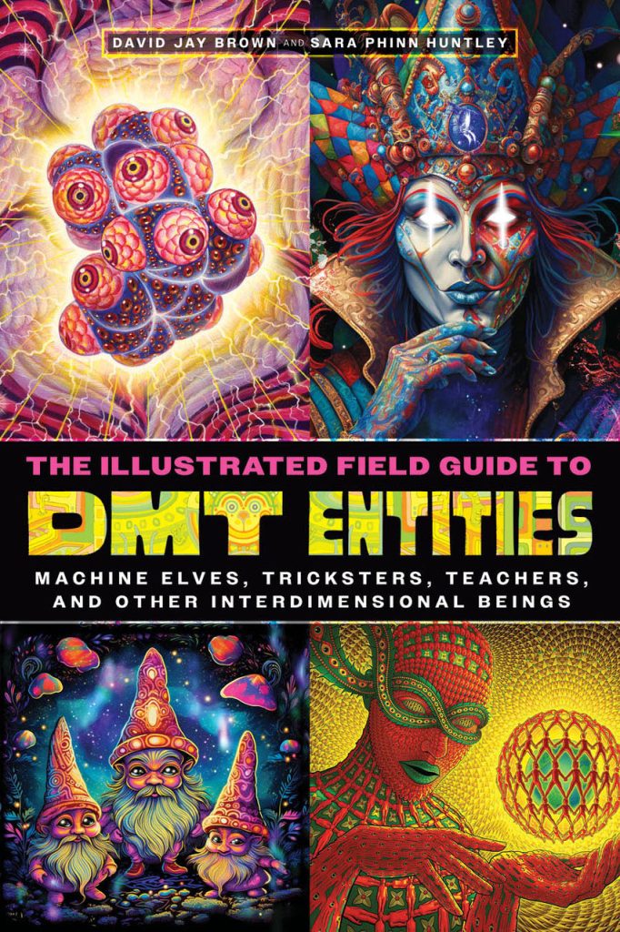 Creating a Taxonomy of the DMT Entities - Graham Hancock Official Website